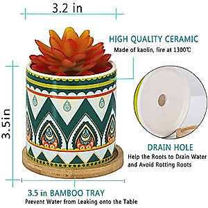 COLOAPT Succulent Plant Pots - 3.1 inch Ceramic Succulent Planter -Cylinder Flower Pots for Cactus with Drainage Hole and Bamboo Tray, 6 Pack (Multicolor1)