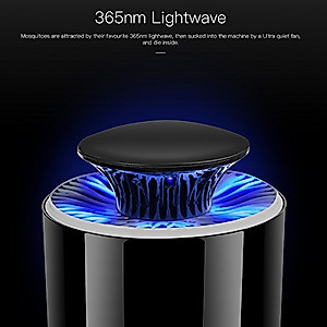 AICase Bug Zapper Light (Black)