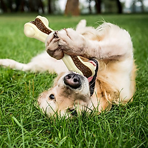 Sosation Chew Toys for Aggressive Chewers Large Breed Beef Flavor Dog Teething Chew Toys Bones Durable Nylon Bones for Large Puppies, 6.3 Inch(Large, Medium)