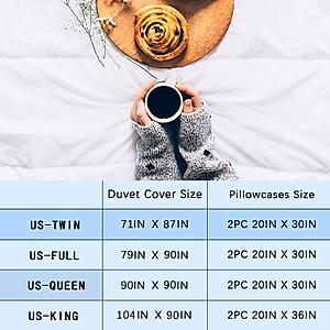 AILONEN Red Rose Duvet Cover Set King Size, Grey Retro Couple Rose Comforter Cover Set,3 Pieces Romantic Floral Butterfly Quilt Cover and 2 Pillowcases