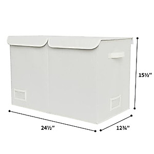GRANNY SAYS Bundle of 1-Pack Shelf Organizer for Closet & 1-Pack Extra Large Rectangle Storage Bin