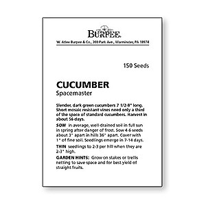 Burpee Spacemaster Slicing Cucumber Seeds 150 seeds