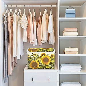RunningBear Sunflower Field Large Storage Bins with Lid Collapsible Storage Bin Laundry Baskets Decorative Storage Box for Rooms Playroom Shelves