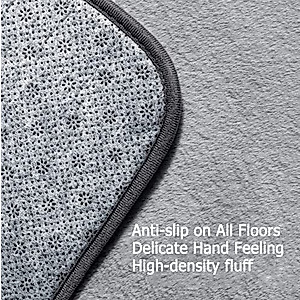 ZXHXIANTZ Modern Soft Area Rug of ice Hockey Rink Marking Detailed of top View eps10 3D Home Plush Rugs Non Slip Shaggy Carpets for Living Room Bedroom Kids Playroom Decor 4 x 5.2 ft, 4 feet X 5 feet