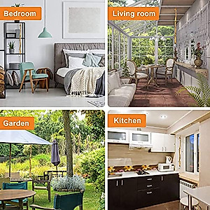 Stingmon 20 Rolls Sticky Fly Strips, Fly Traps for Indoor, Fly Traps Outdoor, Fruit Fly Glue Traps, Fly Ribbon Fly Paper Fly Tape Fly Catcher Killer for Gnat