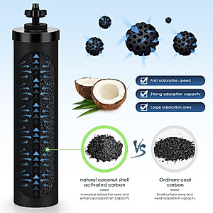 Kainasch Water Filter Replacement for Berkey, Black Activated Carbon Filters Compatible with Berkey Big, Light, Imperial, Travel, Crown, Royal Series Gravity-Fed Water Filter System(Pack of 2)