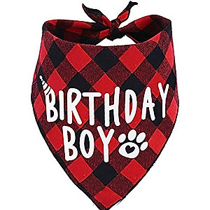 Birthday Boy Dog Bandana