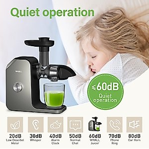 whall Slow Juicer, Masticating Juicer, Celery Juicer Machines, Cold Press Juicer Machines Vegetable and Fruit, Juicers with Quiet Motor & Reverse Function, Easy to Clean with Brush,Grey, ZM1512-C