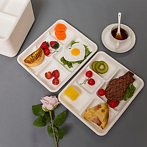 emlifepak Small and Shallow 10.25 * 8.25inch 5 Compartment Plates 125pack, Disposable 5 Section eco friendly Sugarcane Divided Plates,School Lunch Tray And Disposable Plates With Compartment