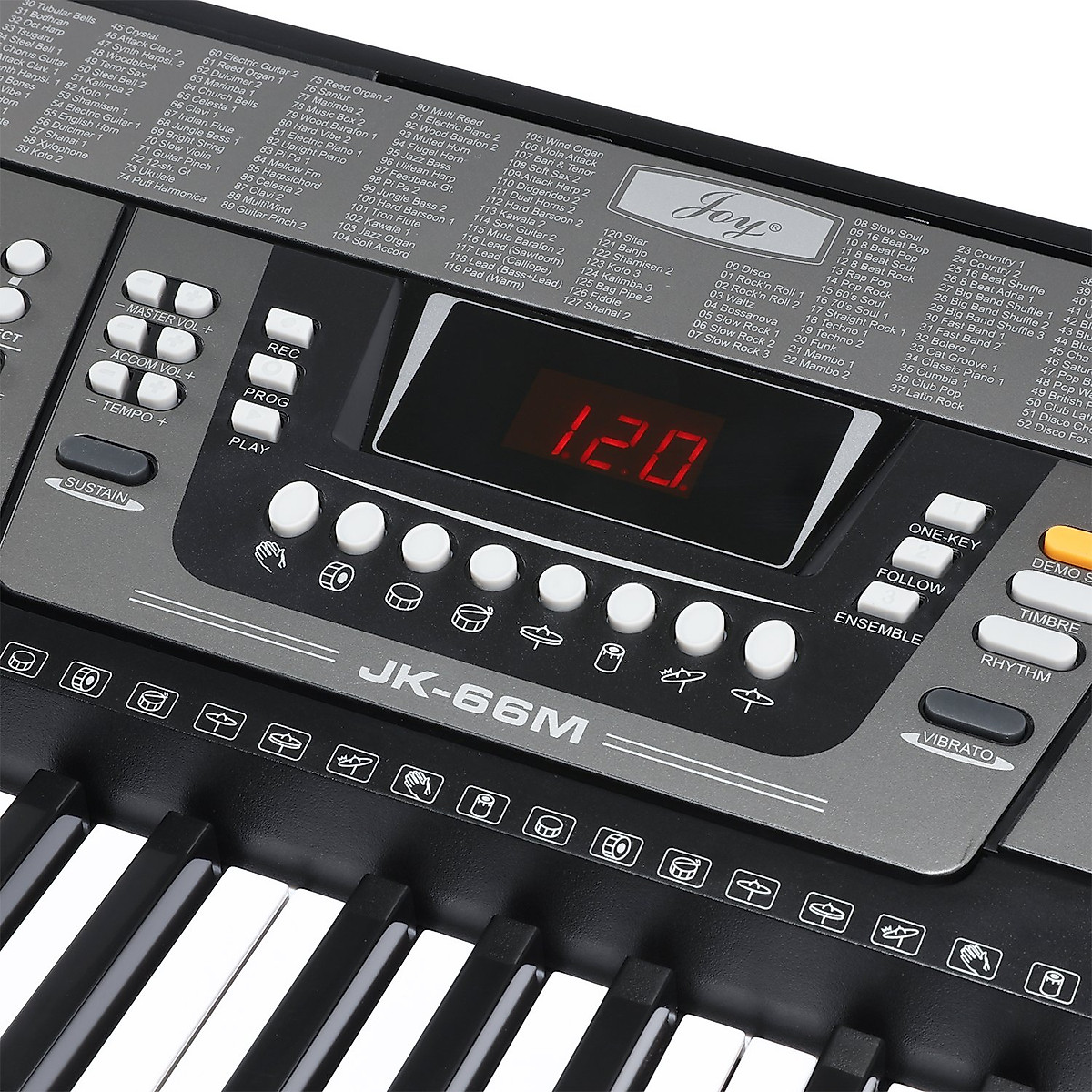 Joy 61-Key Keyboard with USB Music Player Function for Beginners (JK-66M)