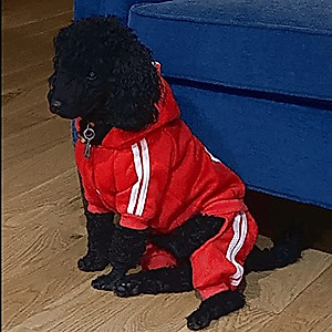 Pet Cat Dog Cute Outfit Clothes Hoodie Jumpsuit Tracksuit Jacket Winter Sweater 4-Legs Style Red for Puppy Small to Medium Dogs Boy and Girl (X-Large)