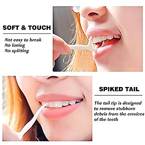 White Dental Floss Portable Case, Storage 10 Picks Adult Floss in Box. The Best Tool for Cleaning Teeth and Oral Care. Portable Travel Floss is Perfect for Dinners,Dating,Travel,Hotels.(White)