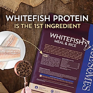 Sportmix Wholesomes Fish Meal And Rice Dry Dog Food, 40 Lb.