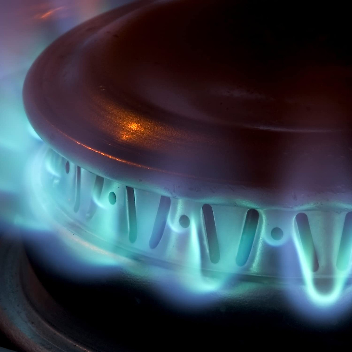 Evergreen Farm and Garden Coleman Propane Replacement Fuel Cylinders 16 oz Camping Fuel Bundled (6 Pack)