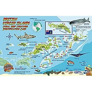British Virgin Islands Dive Map & Coral Reef Creatures Guide Franko Maps BVI Laminated Fish Card