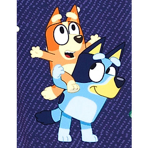 Bluey Bingo Toddler Girls T-Shirt and Leggings Outfit Set Green/Blue 4T