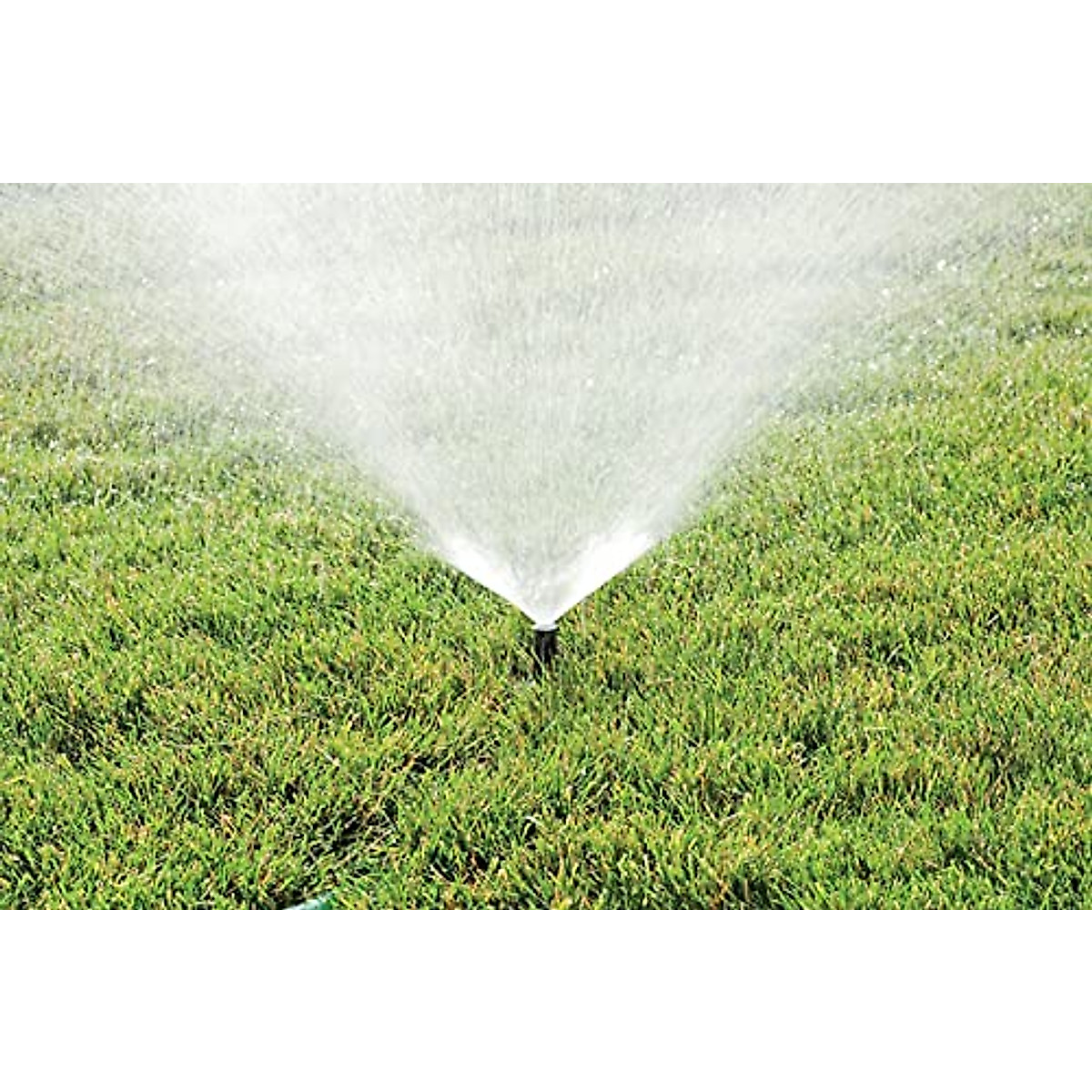 Rain Bird 1802HDSPRS Pressure Regulating (PRS) Professional Dual Spray Pop-Up Sprinkler, 180° Half Circle Pattern, 8' - 15' Spray Distance, 2" Pop-up Height