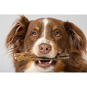 Scout & Zoe's Lamb Green Tripe Dog Treats - All-Natural, Omega-3 Boosting and Digestive-Enzyme Rich Green Tripe for Dogs Dental Health & Immune Support - Made in The USA, 3oz.