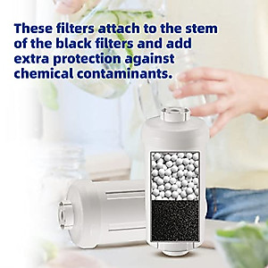 Water Filter Replacement Water Filtration System, Fluoride Filters 2 Pack and Black Filters 2 Pack