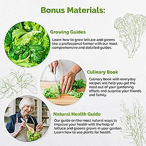 10 Lettuce & Salad Greens Seeds Variety Pack 4800+ Non-GMO Heirloom Lettuce Seeds for Planting Indoors & Outdoors Garden, Hydroponics - Arugula, Radicchio, Kale, Spinach, Swiss Chard, Lettuce & More