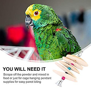 PATKAW Bird Cuttlebone Parakeet Cuttlebone Cuttlebone for Birds cuttlebone for Birds cuttlebone cuttlebone for Tortoise Parakeets Parrot Cuddle Parakeet Food Parakeet Cuttlebone