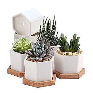 OAMCEG 6 Pack Succulent Plant Pots 2.75 inch Mini Succulent Planter, Set of 6 White Ceramic Succulent Cactus Planter Pots with Bamboo Tray (Plants NOT Included)