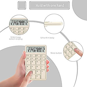 VEWINGL 12 Digit Calculator,Hold with one Hand,4 Function Calculator with Large LCD Display for Office,School,Home & Business Use,Automatic Sleep,5.4 * 3.3in