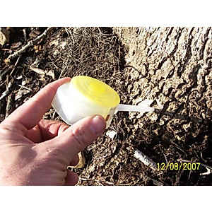 Mauget Imisol 4ml, Tree Injector Combination of Insecticide & Fungicide, Containing Imidacloprid & Debacarb (Imicide, Fungisol)