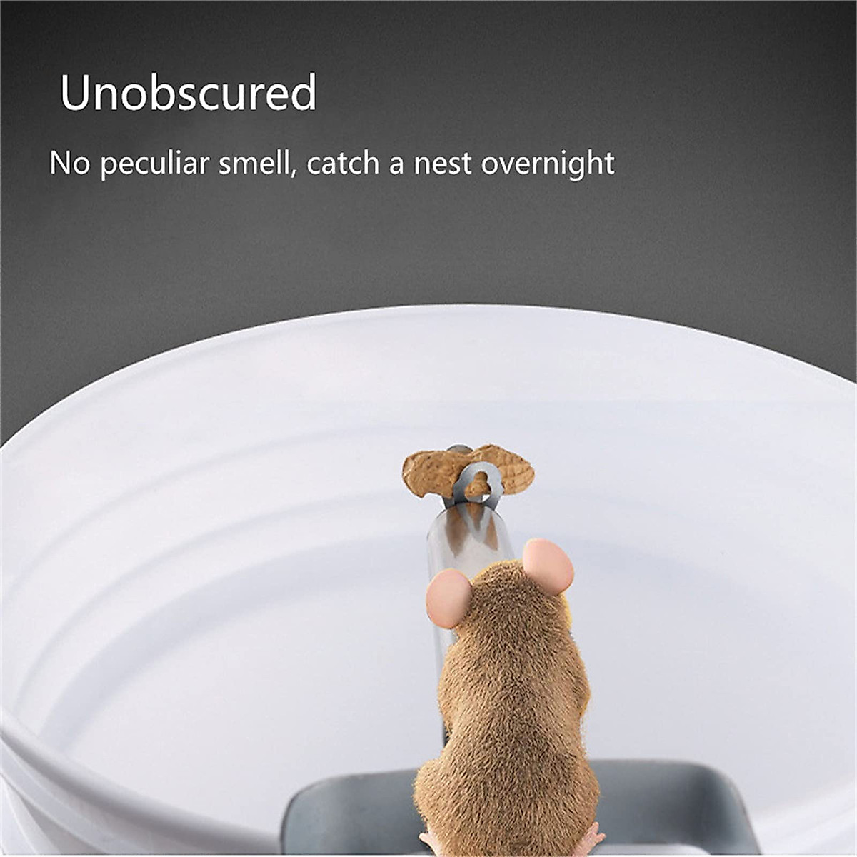 SGTC 2 Pcs The Highly Sensitive Bearing Automatic Resetting of The Mouse Trap is Suitable for Indoor and Outdoor Mouse, Rat and Rodent Trappers, Ensuring The Safety of Children and Pets
