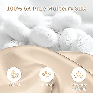 Lacette Silk Pillowcase for Hair and Skin, 22 Momme 6A Soft Silk Pillow Case with Hidden Zipper, Gift Box, 600 Thread Count, Double Side Silk/Wood Pulp Fiber, 1PC (Champagne, Queen Size 20"x30")…