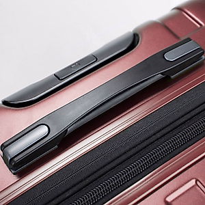 DELSEY PARIS Titanium Hardside Expandable Luggage with Spinner Wheels Checked Luggage, Purple, Checked-Medium 25 Inch