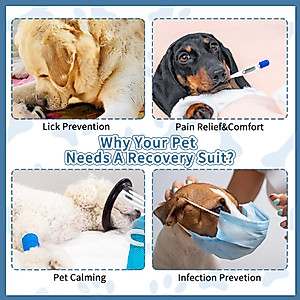 Apatal Dog Onesie After Surgery Recovery Suit Anti Shedding Bodysuit Wounds Female Male Dog Neuter Spay Onesie E-Collar & Cone Alternatives Postoperative Shirt Dog Pajamas(3XL)