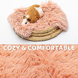 KAYCOWZA Guinea Pig Blankets 4 Pack, Warm Cozy Pet Cage Accessories for Guinea Pig Hedgehog Rabbit Hamster Chinchilla Ferret Small Animals, Fleece Cage Liners Bedding Mat Washable for Cold Weather