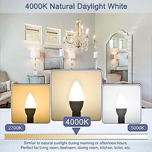 Sailstar Candelabra Light Bulbs 60 Watt Equivalent, 4000K Natural Daylight, 5W E12 Small Base Type B LED Bulbs, 500 Lumens, Chandelier Ceiling Fan Light Bulbs, CRI 85, Non-dimmable, Pack of 3