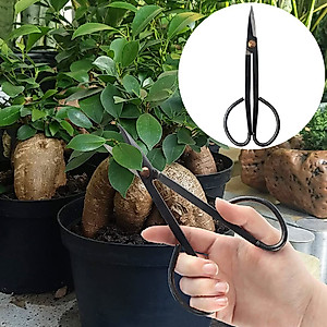 BUDDE Bonsai Tree Kit Bonsai Tools Set Succulent Kit 21 PCS Garden Hand Tool Set Include Pruning Shears, Carbon Steel Bonsai Scissors, Perfect Bonsai Starter Kit Gardening Trimming Tools(Green)