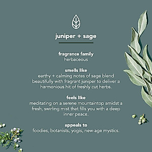 Method Men Body Wash, Juniper + Sage, Paraben and Phthalate Free, 18 FL Oz (Pack of 6)