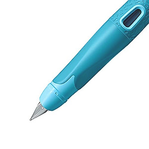 STABILO Ergonomic School Fountain Pen EASYbirdy 3D Wildfile Special Edition - Nib A - Right-Handed - Cartridge and Adjustment Tool Included - Blue