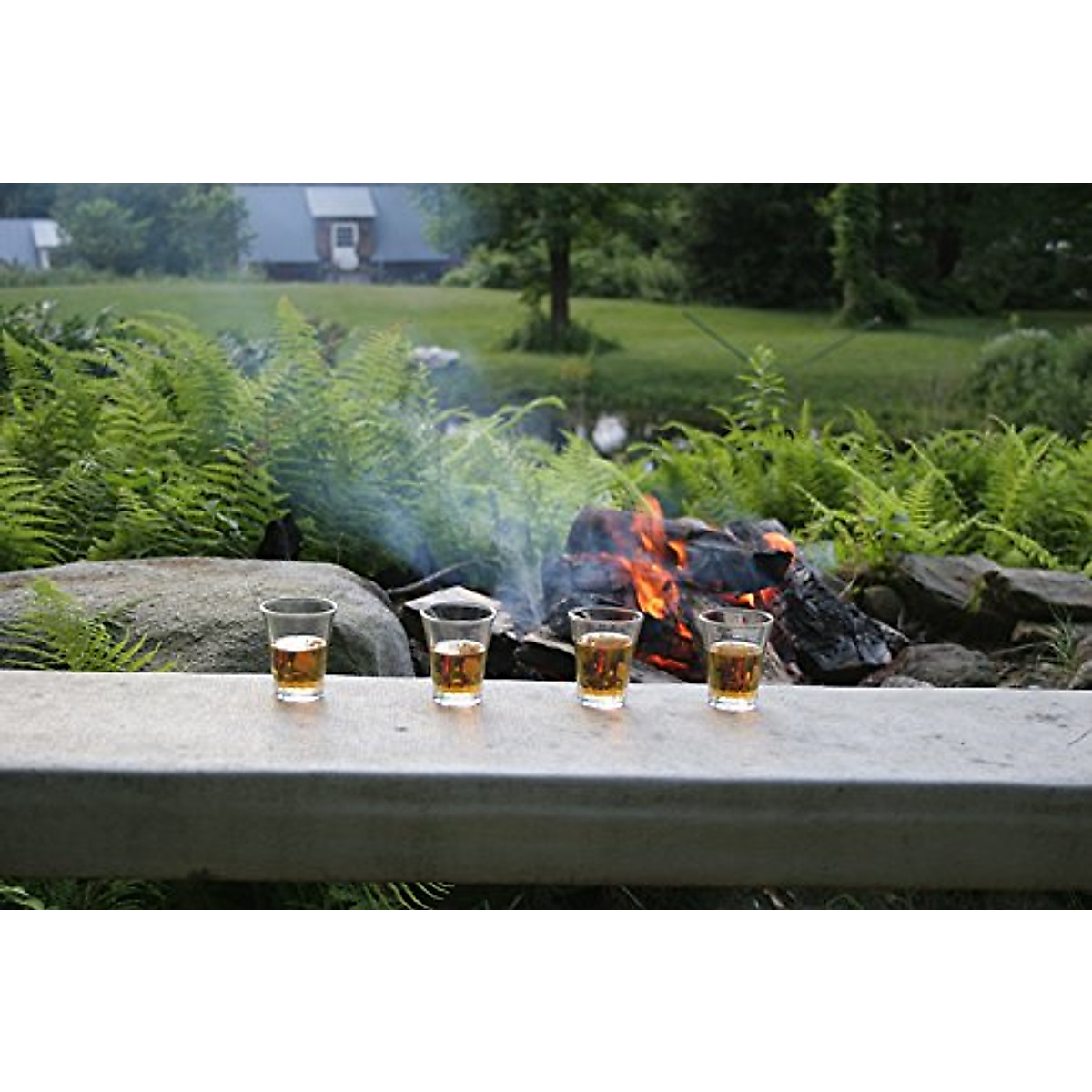 Duralex Made In France Amalfi Glass Tumbler (Set of 4), 4.62 oz, Clear