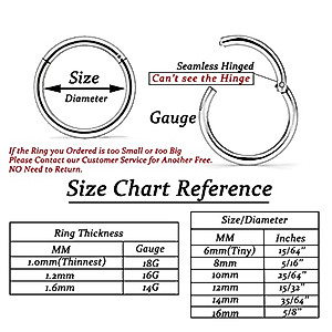 Vsnnsns 16G Stainless Steel Hinged Segment Clicker Nose Rings Hoops Septum Jewelry Lip Ring Hoop Cartilage Tragus Conch Helix Rook Hoop Earrings Piercing Jewelry for Women Men 10MM Mix Colro 16 Gauge