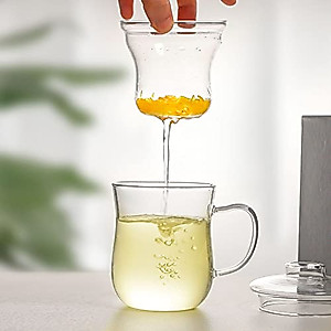 Kendal Tea Cup with Infuser and Lid, Clear Glass Mug 10 oz 300ml