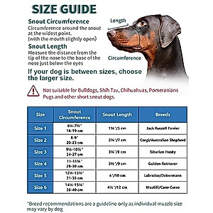 Dog Muzzle, Basket Muzzle Anti Biting Chewing, Sturdy Lightweight Muzzle Allows Panting Drinking, Cage Muzzle for Small Medium Large Dogs, Suitable for Grooming Trimming Training