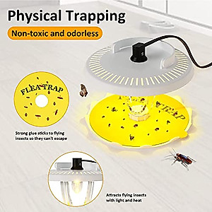 Redeo Flea Trap 2 Pack Sticky Dome Bed Bug Traps with 4 Light Bulbs and 8 Sticky Glue Boards, Odorless Non-Toxic Flea Light Traps for Inside Your Home Safe for Kids & Pets