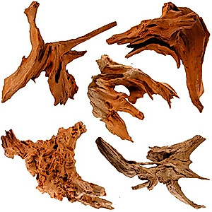 Azil Natural Driftwood for Aquarium Decor Fish Tank Decorations, 3 PCS (6 to 8 Inch) Assorted Branches Decorations on Reptile Tank