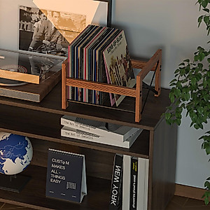 X-cosrack Vinyl Record Holder,Fits 7” -12” Records,Store Up to 100Albums,DVDs,or CDs-Wood Book Storage Stand,File Folder Racks,Modern Design,Brown