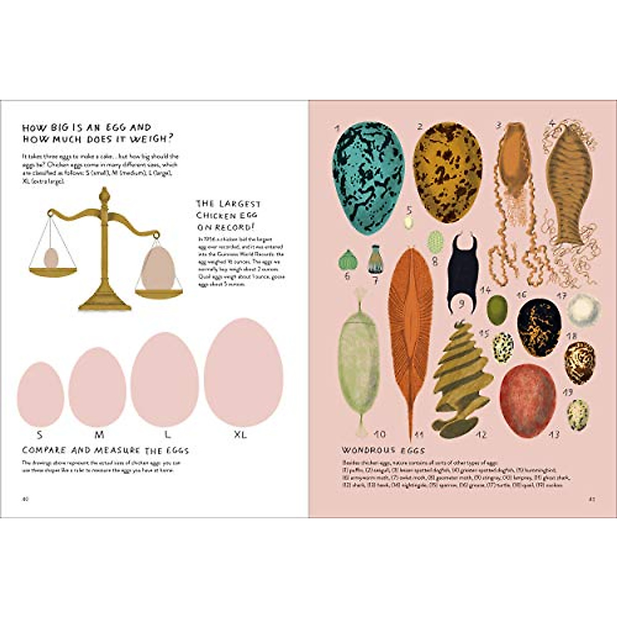 Chickenology: The Ultimate Encyclopedia (The Farm Animal Series)