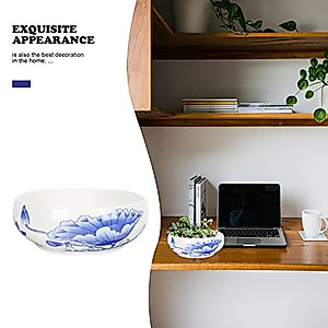 Cabilock Blue and White Porcelain Flowerpot Water Lily Ceramic hydroponic Terrarium Garden Shallow Pot Modern Flower Pot Small Cactus pots Round Shallow Pot Plant Ceramics Window Frame