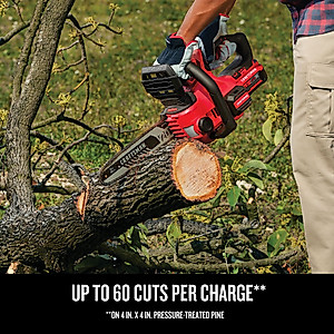 CRAFTSMAN V20 Mini Chainsaw, Cordless, 12 inch, Bare Tool Only (CMCCS620B)
