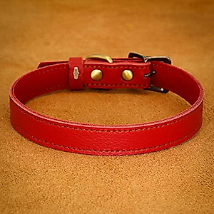 PET ARTIST Genuine Leather Dog Collar, Lightweight & Soft Padded Leather Collar, 7 Beautiful Color for Choices,Dog Collar for Puppy&Small Dog,Red,M