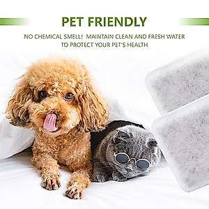 TOGGATH 12 Pack Pet Dog Water Fountain Charcoal Replacement Filters Compatible with Petmate Replendish Mason Gravity Waterers 0.5-4 GAL Automatic Dog Cat Water Bowl Dispenser Filters Replacement