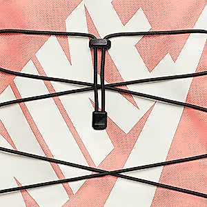 Nike Hayward 2.0 Backpack DV1296-824 Lt Madder Root/Atmosphere, One Size